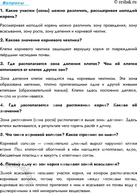(Решено)Параграф 3 ГДЗ Пасечник 6 класс по биологии