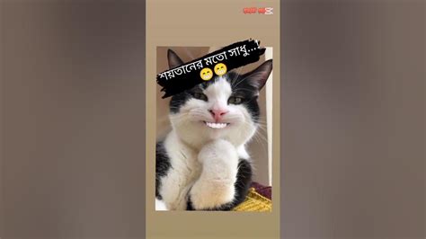 Sotti Kotha🤣🤣 Youtube