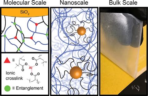 Research The Macfarlane Lab