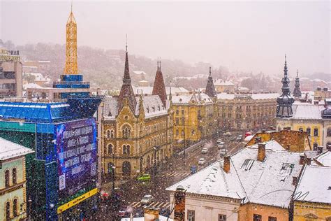 NINGE ca n povești la Cluj GALERIE FOTO