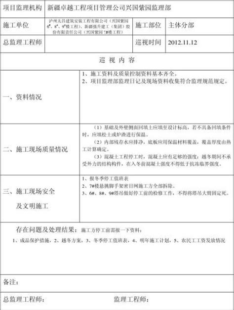 总监巡视记录范文（八篇） 范文118