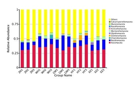 Relative Abundance Of Top 10 Fungal Phyla Download Scientific Diagram
