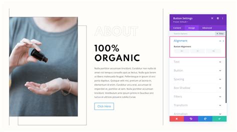 The Divi Button Module Elegant Themes Documentation