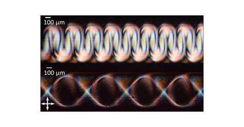 Interplay Between Confinement Twist Elasticity And Intrinsic