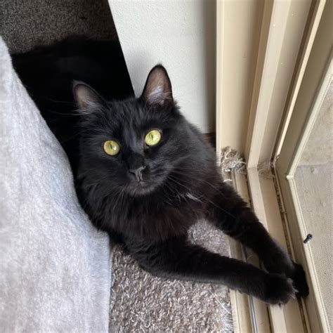 Daisy Daisyenjoyer β’ Threads Say More Daisy Daisyenjoyer β’ Threads Say More