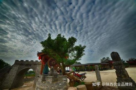 关中平原上的兴平到底藏着多少秘密 知乎