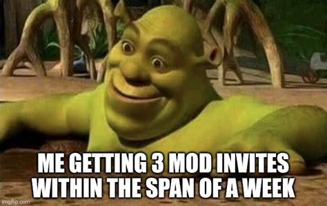 Shocked Shrek Imgflip