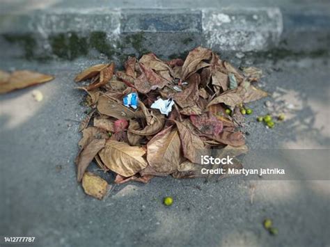 고속도로 포장 도로에서 마른 나뭇잎 더미의 클로즈업 뷰 0명에 대한 스톡 사진 및 기타 이미지 0명 가까운 가득 찬