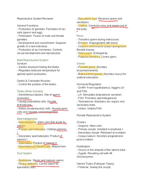Reproductive System Overview Functions And Structures Bio 101 Studocu