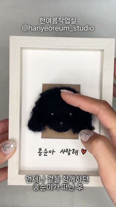 몇장남지 않은 사진을 보며 그리워 하는 어머니를 위한 선물 펫로스 반려견액자 주문제작 Youtube