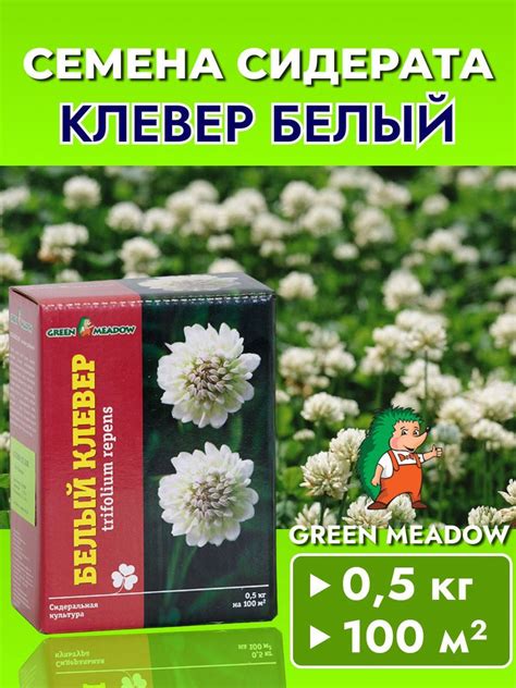 GREEN MEADOW Клевер белый 0,5 кг - купить по выгодным ценам в интернет ...