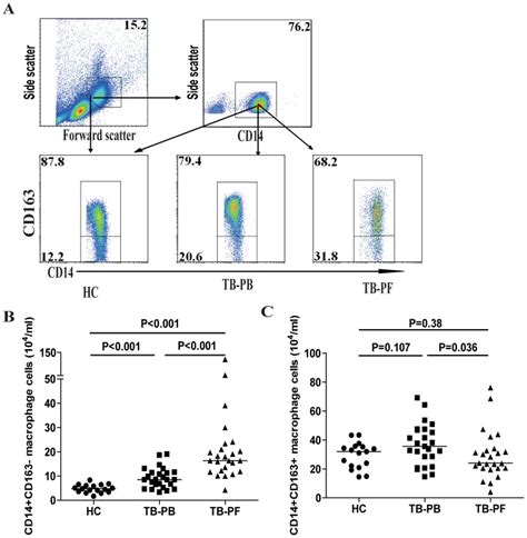 Peripheral Blood Mononuclear Cells Pbmcs And Pleural Fluid