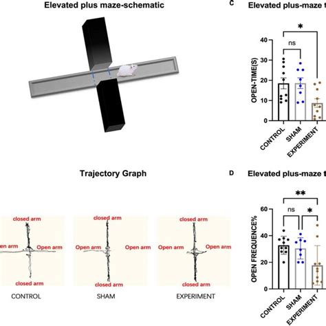 Elevated Plus Maze Test A Schematic Diagram Of The Elevated
