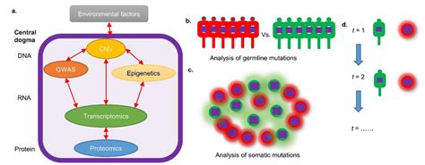Analysis Paradigms For Future Pathway Analysis Download Scientific