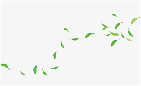 투명 배경의 나뭇잎이 떨어지는 그린 장식