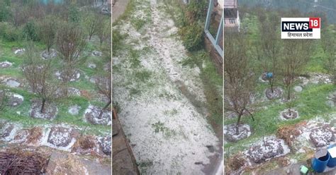 हिमाचल में मौसमः शिमला और कुल्लू में ओलावृष्टि मंडी में तूफान