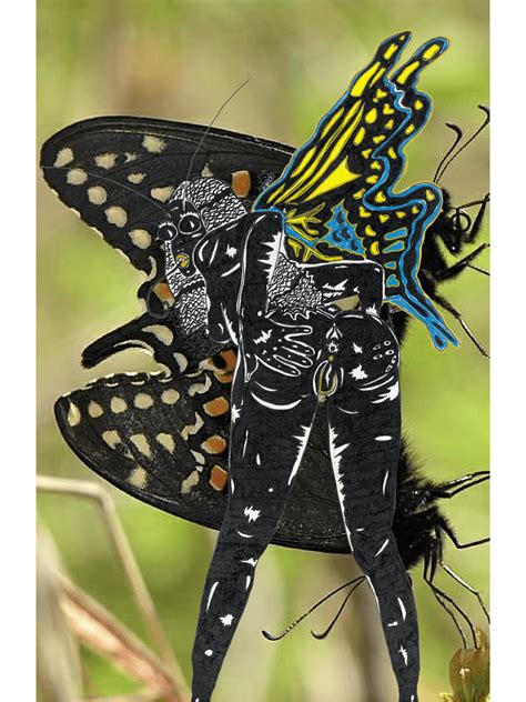 Mating Of Tiger Swallowtail Blade Study