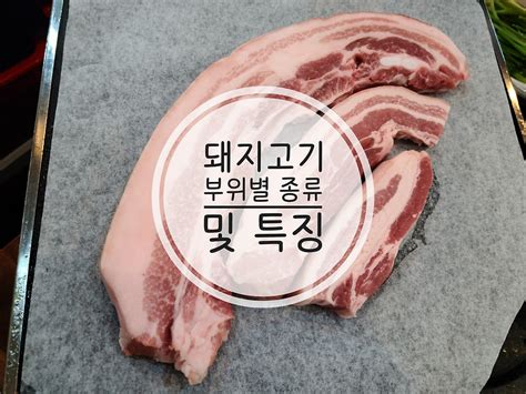 돼지고기 부위별 종류 및 특징 Pork 돼지고기 부위별 영어
