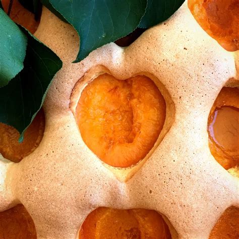 Marillenkuchen Rezept Veronikas Hofk Che Rezept Marillen Kuchen