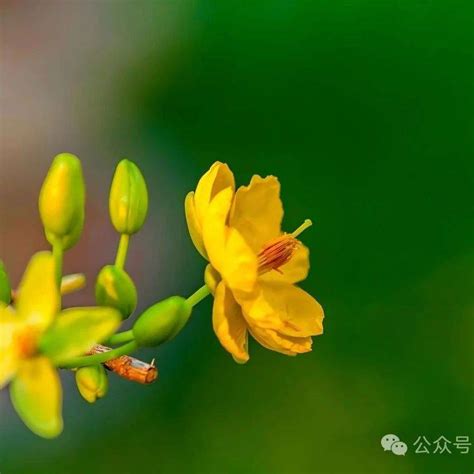 甘肃诗人 苏春明诗选 齐鲁 文学 七律