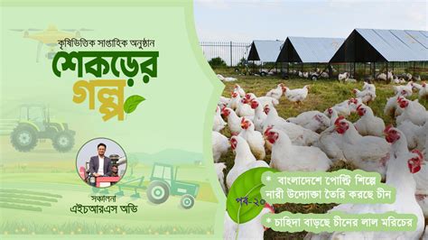 বাংলাদেশে পোল্ট্রি শিল্পে উদ্যোক্তা তৈরি করছে চীন শেকড়ের গল্প পর্ব ২০