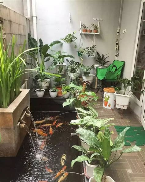 7 Inspirasi Kolam Ikan Koi Minimalis Lahan Sempit Yang Estetik