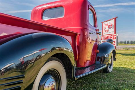 Animal Emergency Care Animal Emergency Care Bellingham