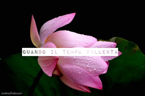 Quando Il Tempo Rallenta Eliminare Il Rumore Di Fondo One Two Frida