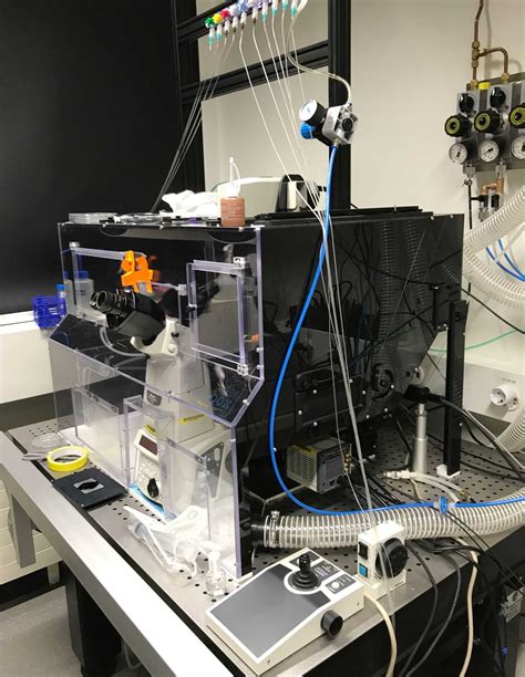 The Lab Control Theory And Systems Biology Laboratory Eth Zurich