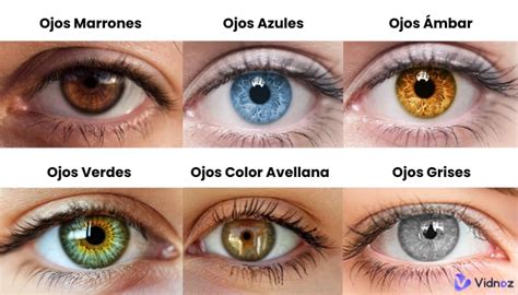 Tabla De Colores De Ojos 1440x951