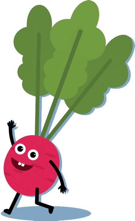 100 Radish Png Images