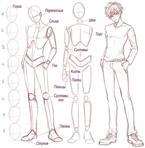 Male Body Tutorial Body Drawing Tutorial Anatomy Sketches Drawing