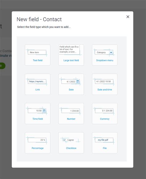 9 Creating And Adding Custom Fields RAYNET CRM Basics And Tutorials