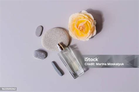 회색 타원형 돌 위에 우아한 화장품 스프레이 또는 오 드 퍼퓸 한 병의 평면도 꽃이 피었다 신선함의 향기 제품 발표 0명에 대한