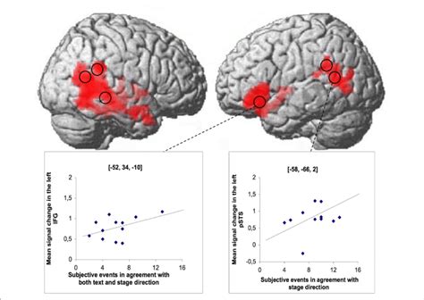 Brain Areas In Red With Significant Bold Signal Differences When