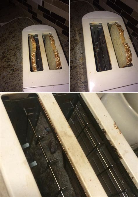 If You Love Toast You Re Going To Hate These 17 Pictures