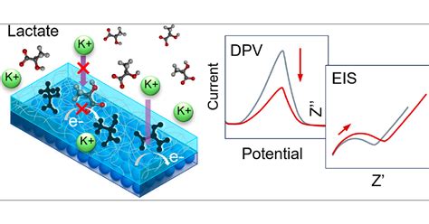 Reagent Free Lactate Detection Using Prussian Blue And Electropolymerized Molecularly Imprinted