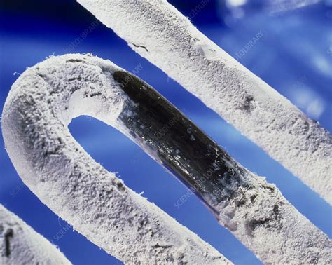 Limescale On A Washing Machine Heating Element Stock Image H130