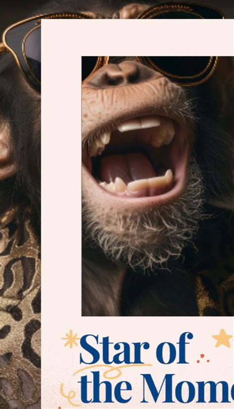 Stephane M On Linkedin Ai