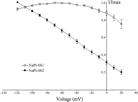 Voltage Dependence Of Napi Iib1 And Napi Iib2 Mediated Pi Transport Download Scientific