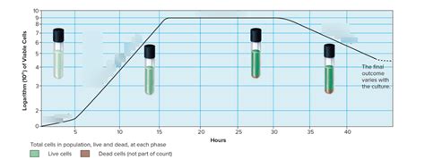 Standardnormal Growth Curve Diagram Quizlet