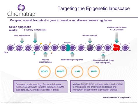 Ppt A More Efficient Sensitive And Robust Method Of Chromatin Immunoprecipitation Powerpoint