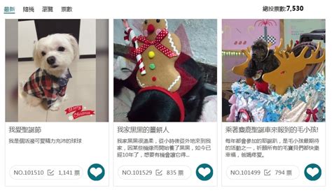 新北毛寶貝耶誕趴起跑 票選拿好禮 社團法人中華民國保護動物協會