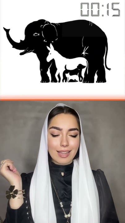 چندتا حیوون تو تصویر میبینین👀 Youtube