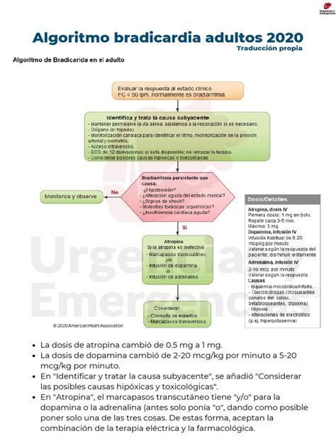 Algoritmo Bradicardia Adulto Aha 2020 Pdf
