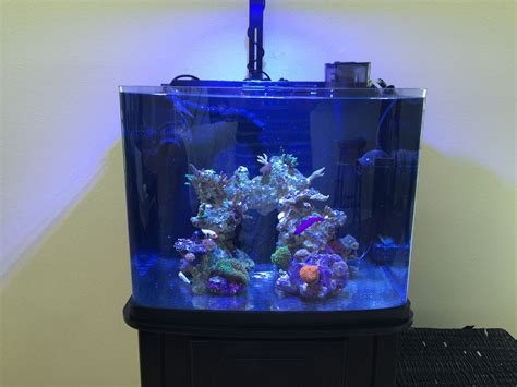 Coralife Biocube 29 Lighting Makeover Reef2reef Saltwater And Reef