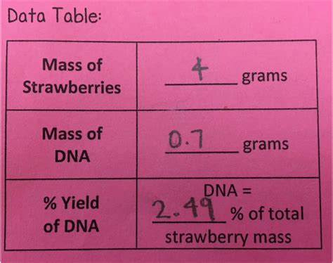 Lab 12 DNA Extraction Biology With Mrs H