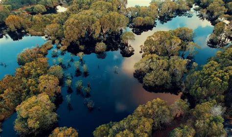 Clean Air Policies Having Unintended Impact Driving Up Wetland Methane Emissions University Of