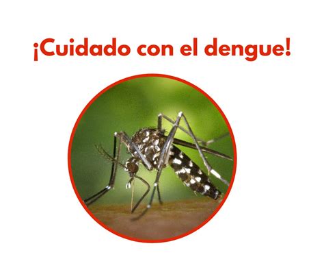 No Te Dejes Confundir Síntomas Del Dengue Puede Ser Similares A Los De