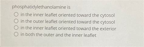 Solved Phosphatidylethanolamine Isin The Inner Leaflet